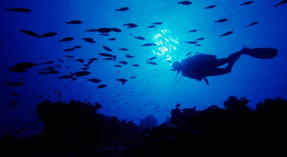 Deep Dive Package 1 - Myanmar Dive Center